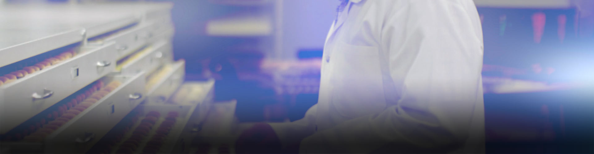 ROMCOLOR 2000 SA from GLOBAL COLORS MASTERBATCHES